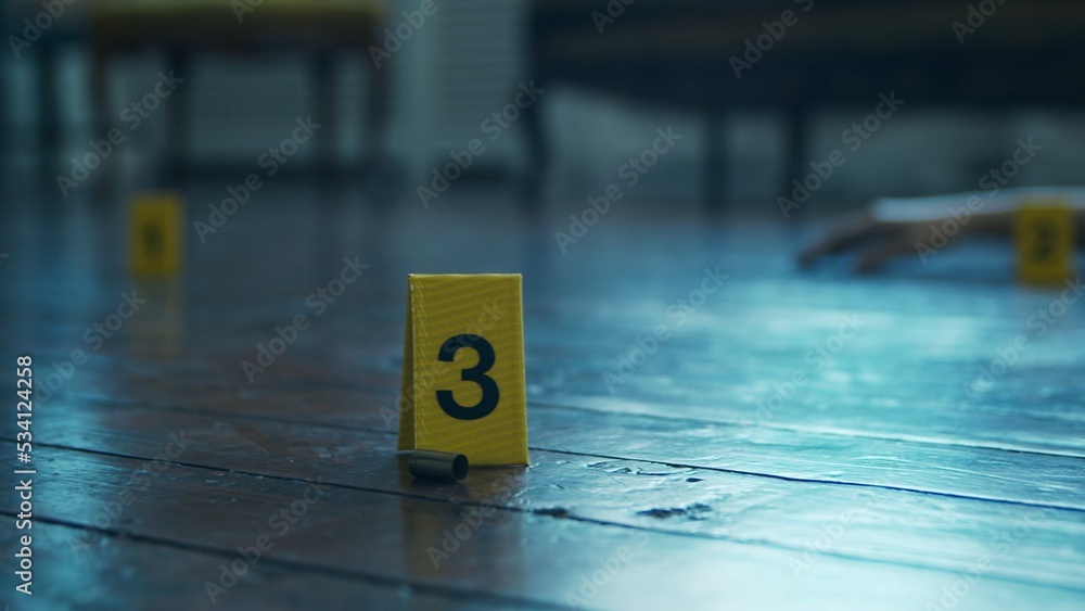Closeup of a Crime Scene in a Deceased Person's Home. Dead man, Police ...