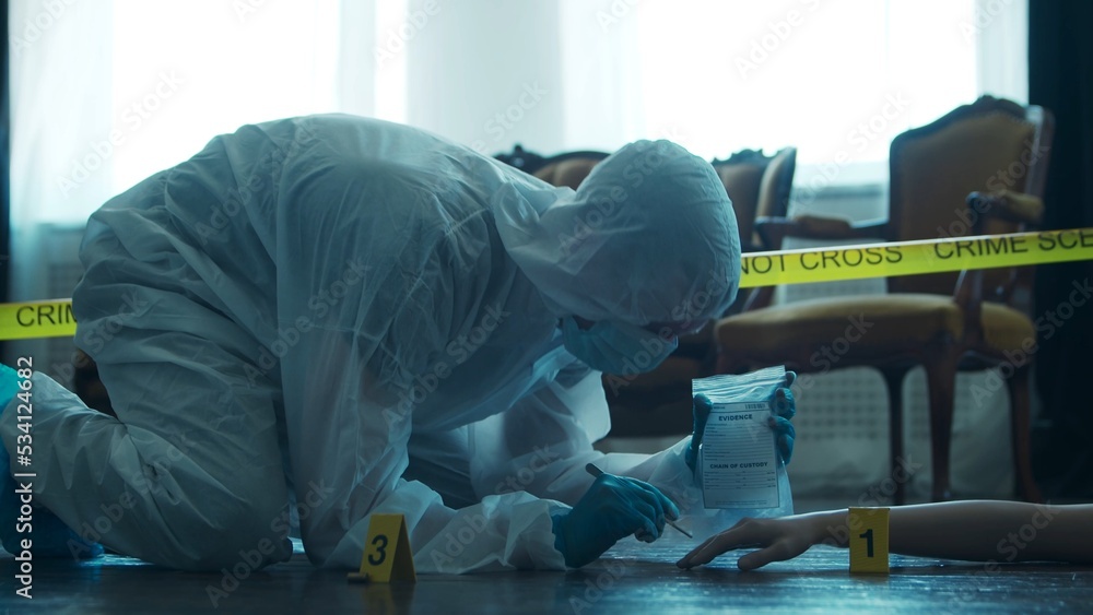 Detective Collecting Evidence in a Crime Scene. Forensic Specialists ...