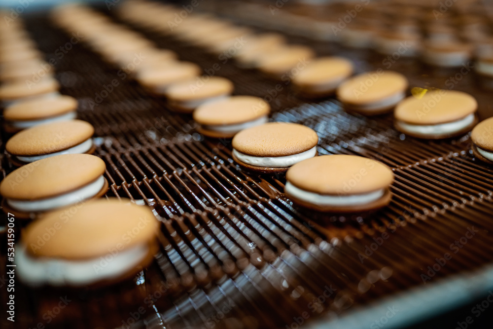 Huge factory line for sweet food and cookies production. Close up shots ...