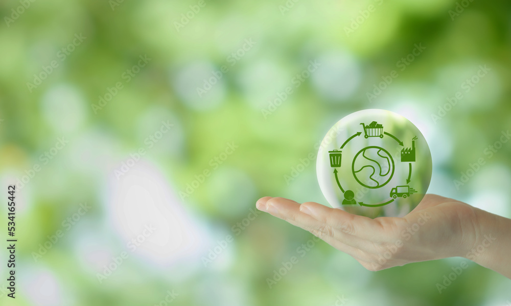 Business value chain and sustainability. LCA, Life cycle assessment ...