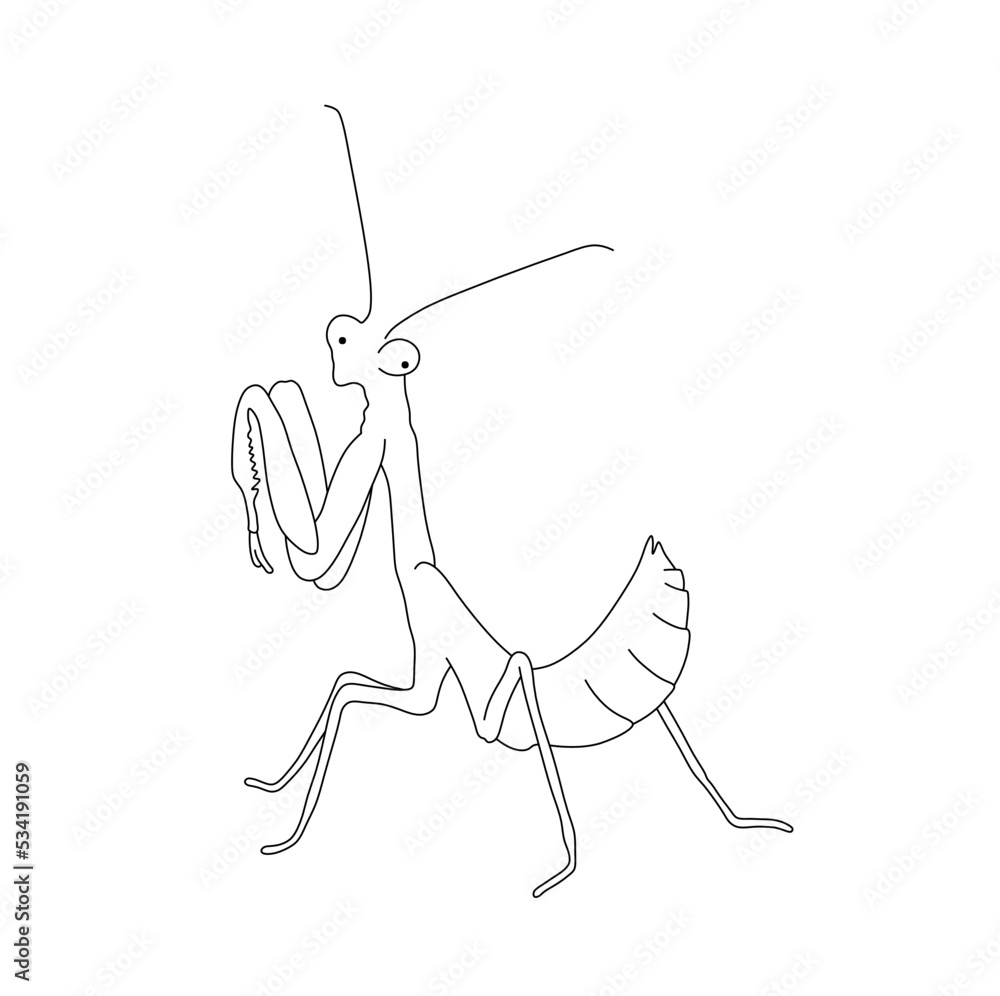 Vector isolated one mantis insect back view colorless black and white ...