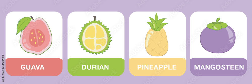 Tropical fruits Flashcards for Children. Cute flashcards for children ...