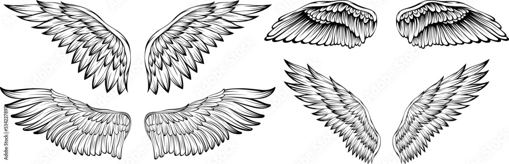Bird wings vector illustration tattoo style. Hand drawn design element ...