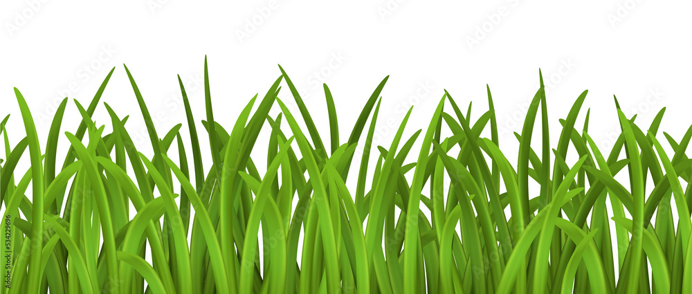 Bright green realistic seamless grass pattern isolated on transparent ...