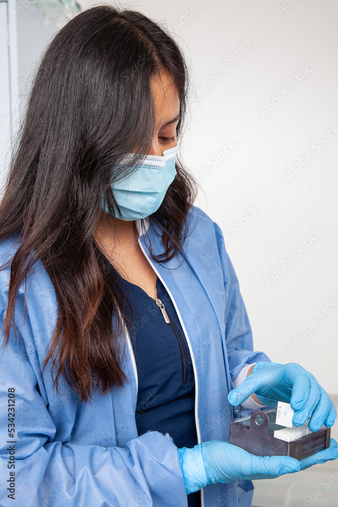 Scientist placing slides with paraffin embedded tissue samples into a ...
