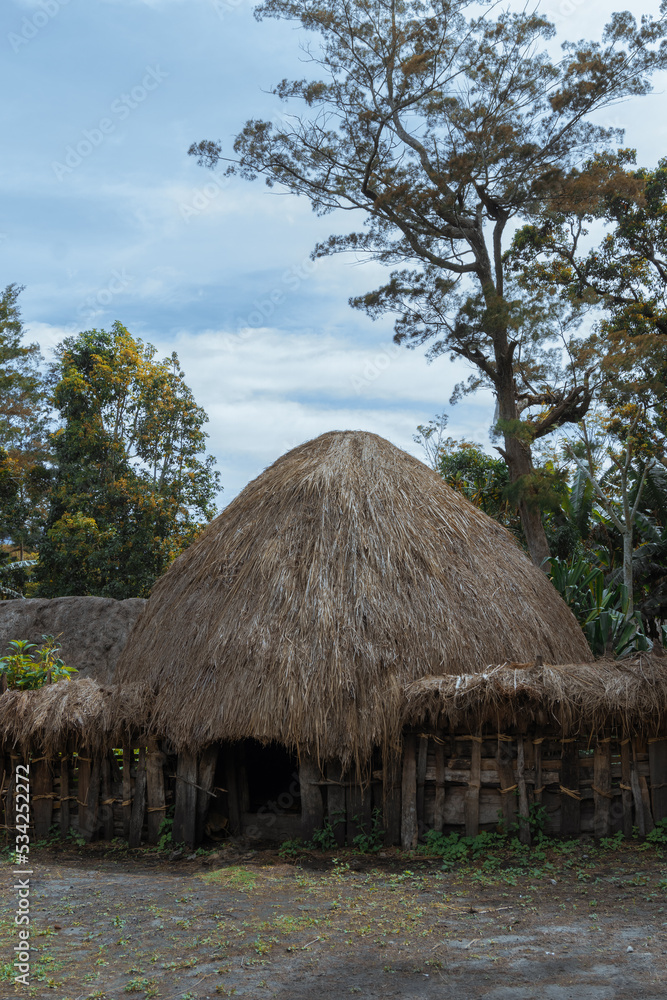 The Honai house is one of the typical Papuan houses, in the Baliem ...