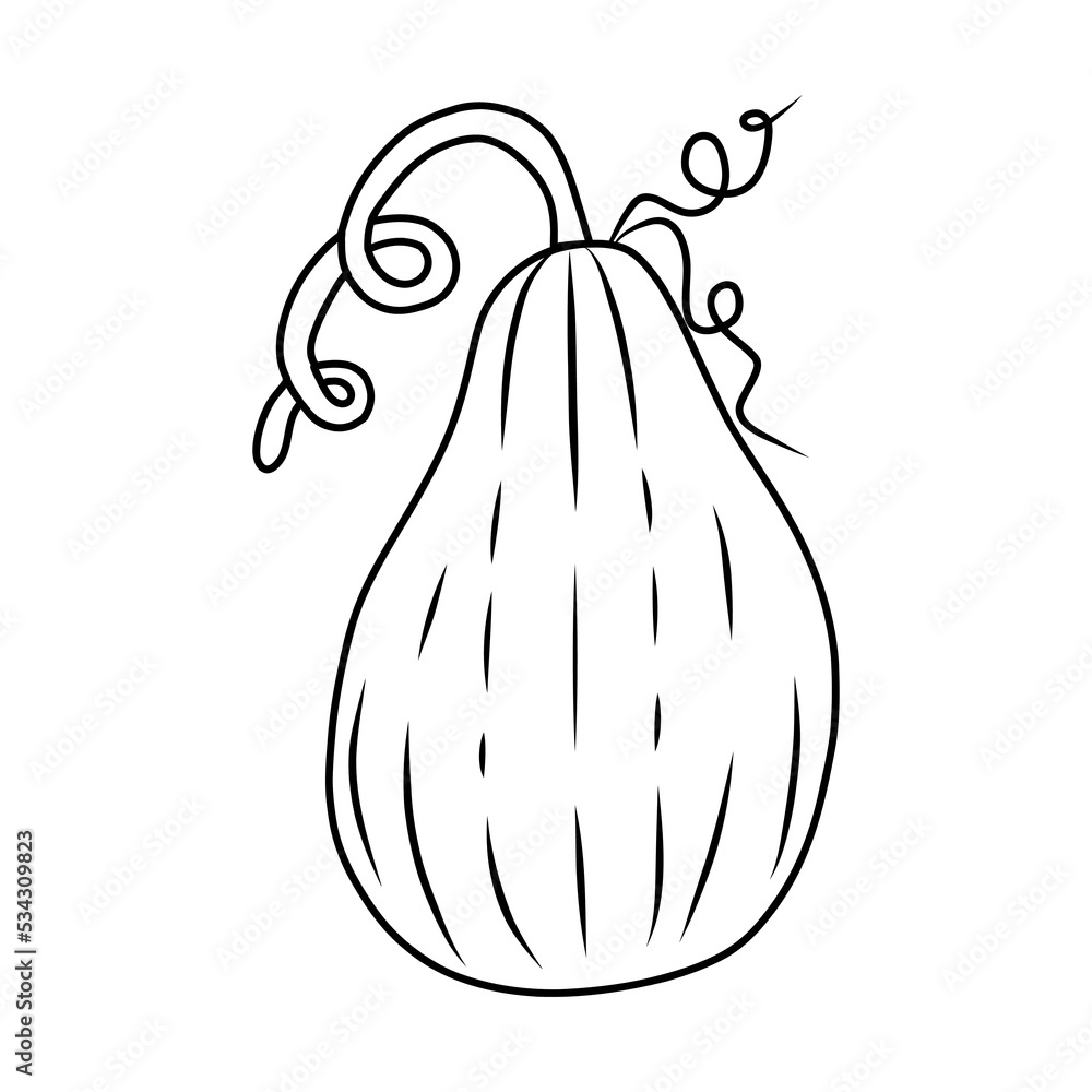 pumpkin drawing suitable for coloring book. outline pumpkins sketch ...