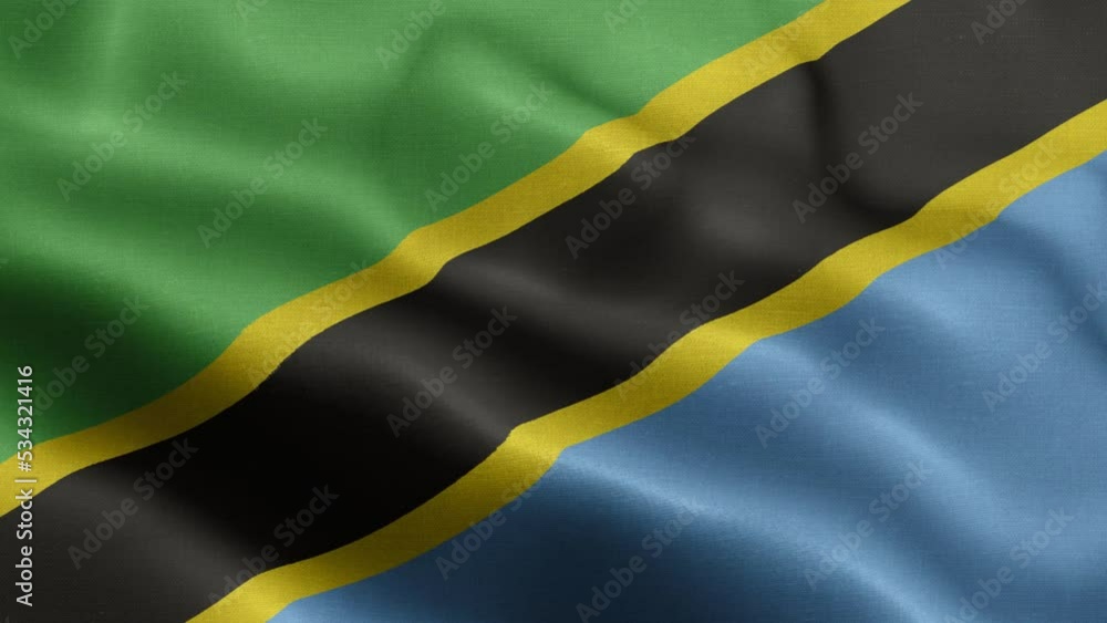 Flag Of Tanzania - Tanzania Flag High Detail - National flag Tanzania wave Pattern loopable ...