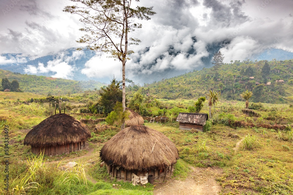 Traditional round houses (called Honai) with vegetal roof, village in ...
