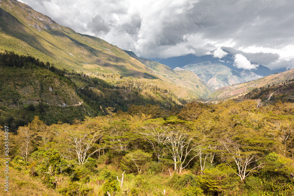 Steep paths, humidity, big temperature variations and thick rainforest ...