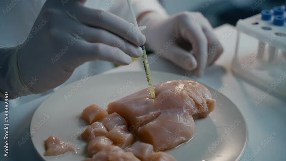 Lab worker injecting medication into meat sample. Genetically modified ...