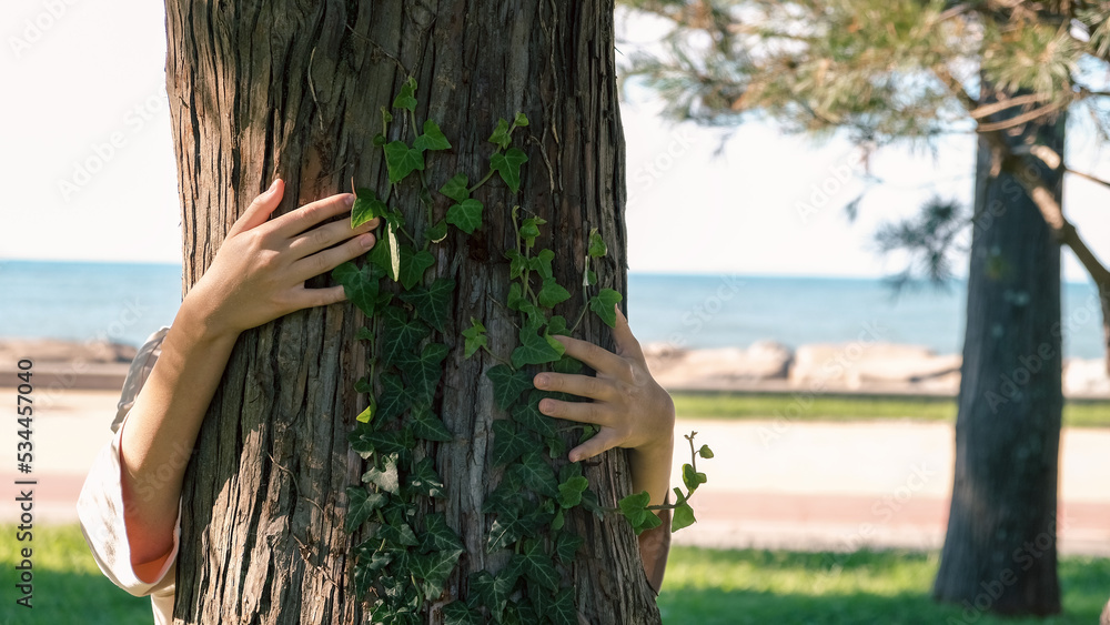 woman love nature hugging a pine tree, no deforestation concept and ...