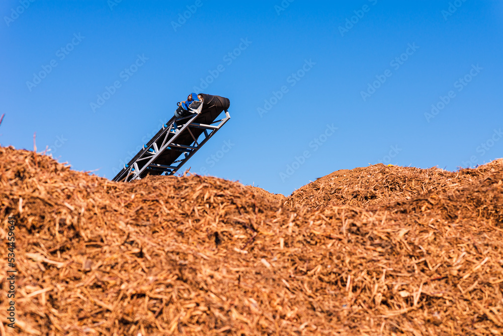 Alternative fuel,ecological fuel,biofuel sawdust,sawdust closeup ...