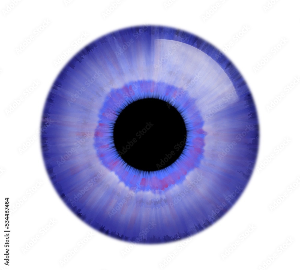 illustration of biology, beautiful blue eyes images, the pigmentation ...