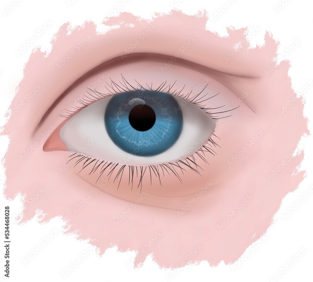 A realistic drawing of a human eye with a blue iris, Close up, This is ...