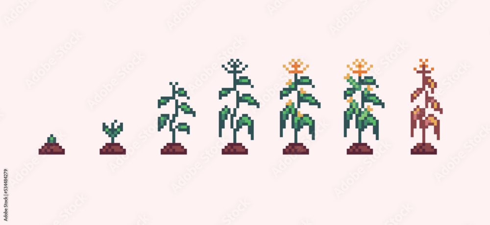 Corn plant growth progress pixel art. Sapling germination stages 8 bit ...
