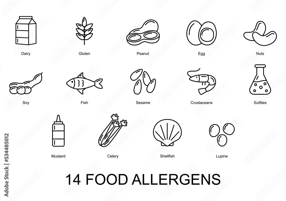14 food allergens. Set of basic allergens icons. Vector illustration ...