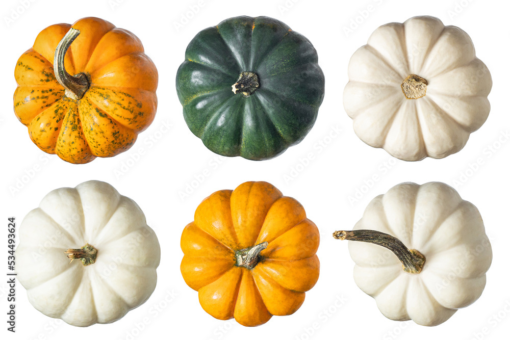 Whole pumpkins isolated on white background. Clipping Path. Full Depth ...