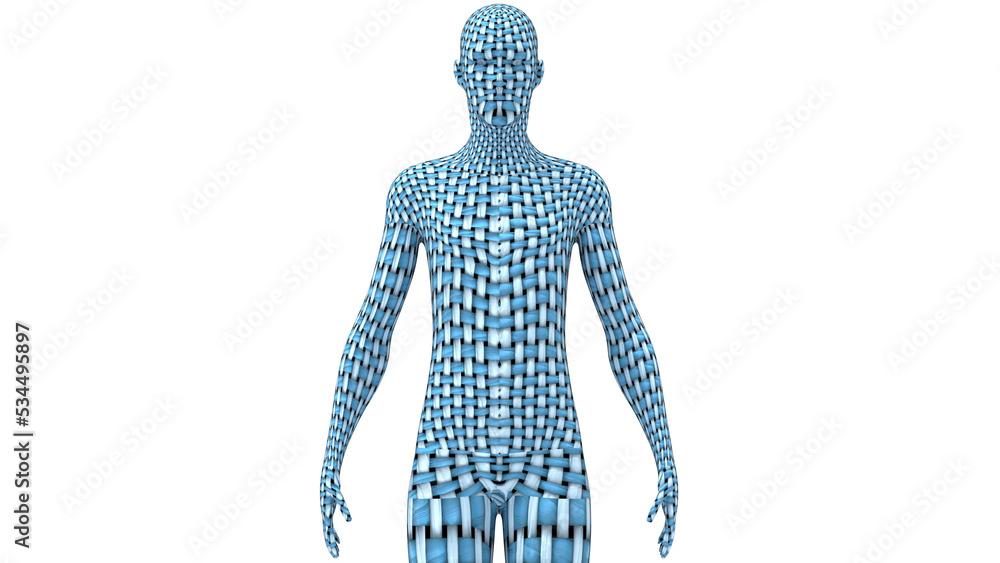 Human Body Standing Anatomy Stock Illustration | Adobe Stock