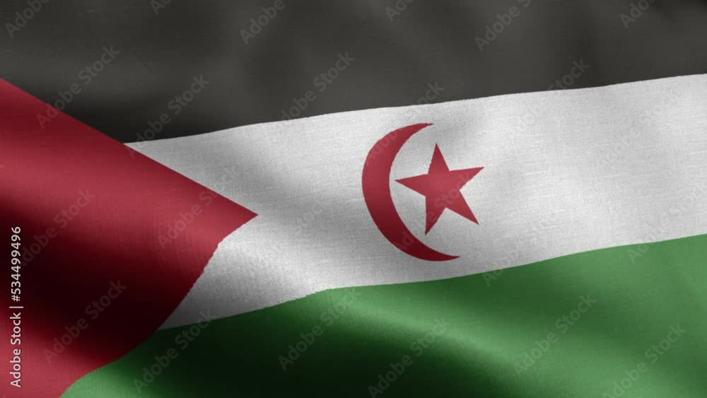 Flag Of Sahrawi Arab Democratic Republic - Sahrawi Arab Democratic ...
