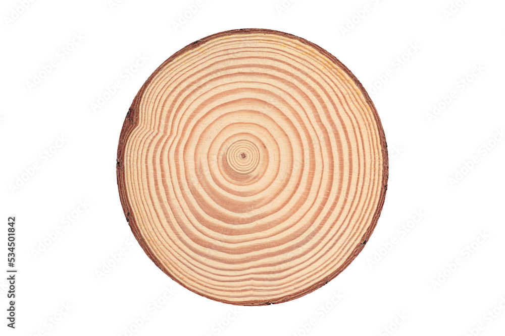 Wooden texture, Cross section of larch tree trunk showing growth rings ...
