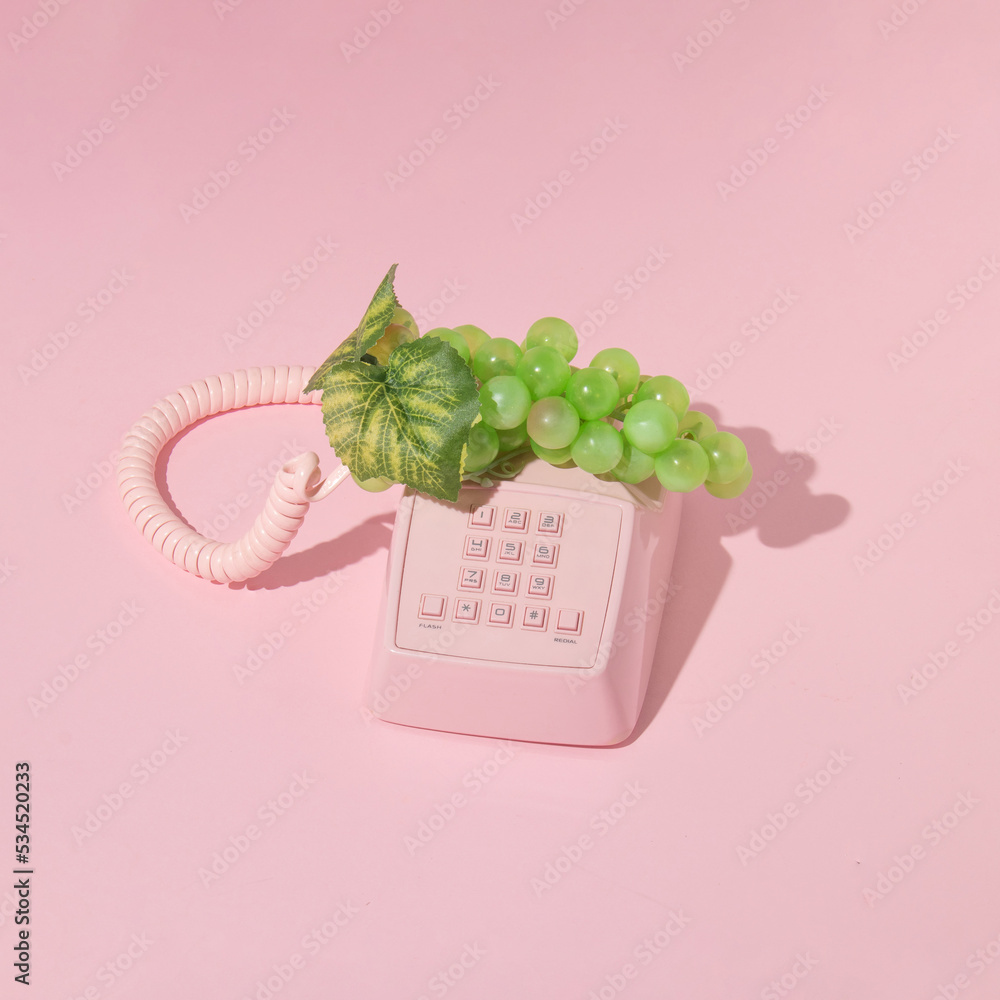Autumn creative layout with pink retro phone with bunch green grapes ...