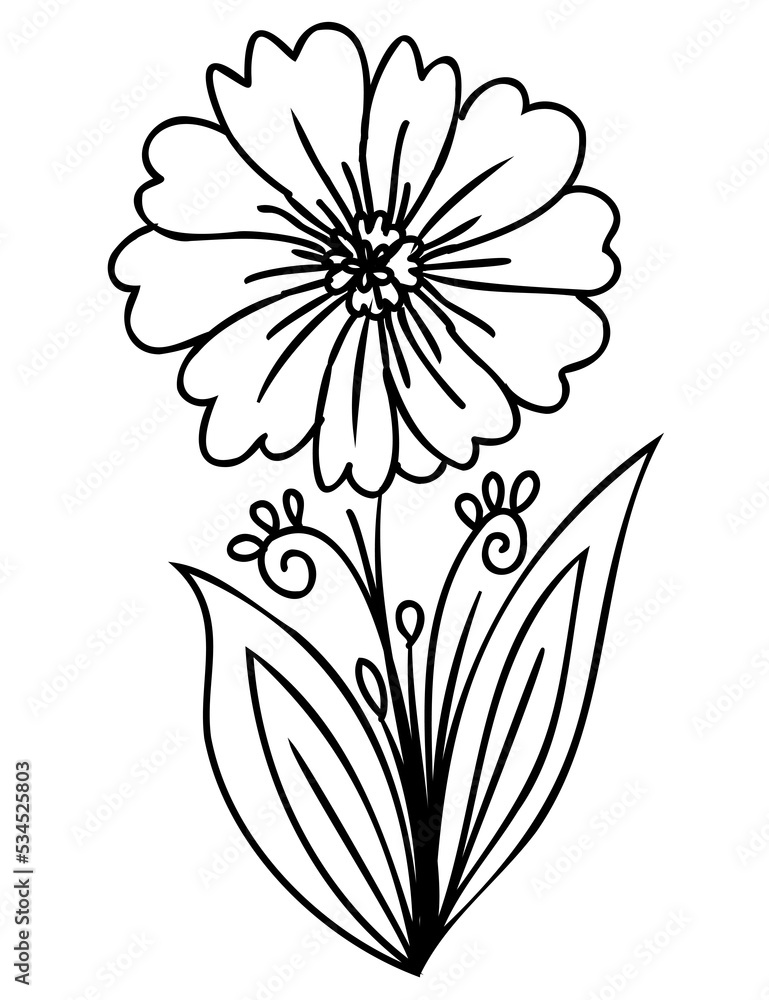 Line art flower drawing. PNG with transparent background. Stock ...
