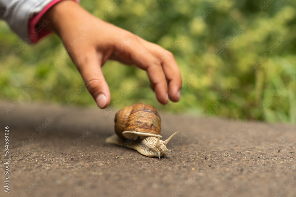 Child who found a snail Stock Photo | Adobe Stock