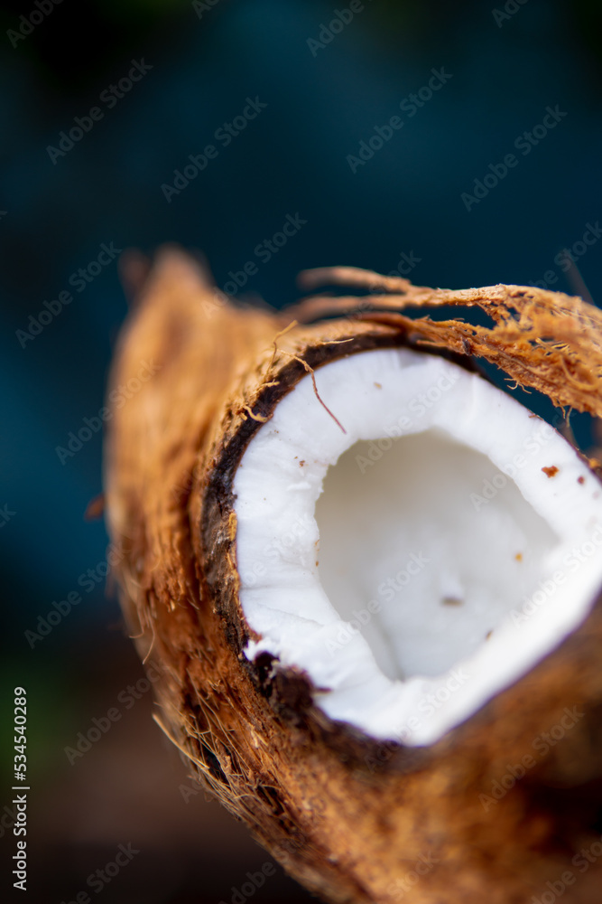 Coco seco rústico cortado ao meio. Fundo desfocado luz natural. Stock ...