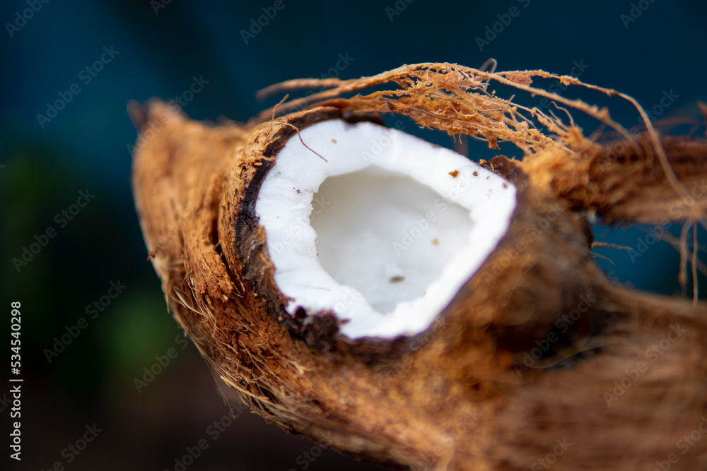 Coco seco rústico cortado ao meio. Fundo desfocado luz natural. Stock ...