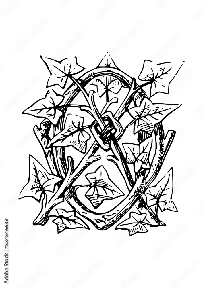 Efeu Naturgeflecht Stock Vector | Adobe Stock