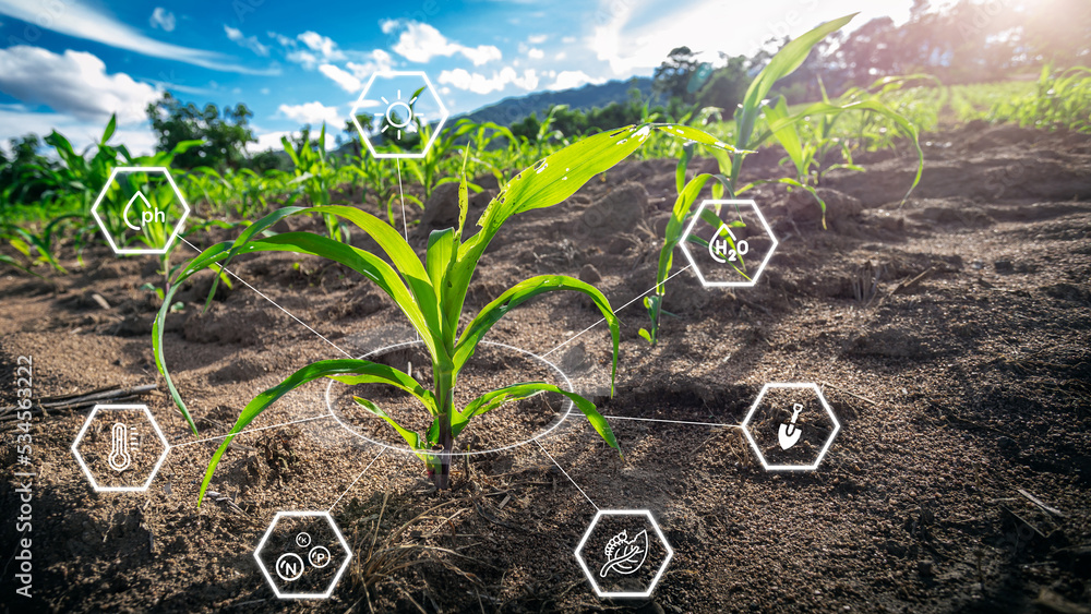 Modern Agriculture Farm