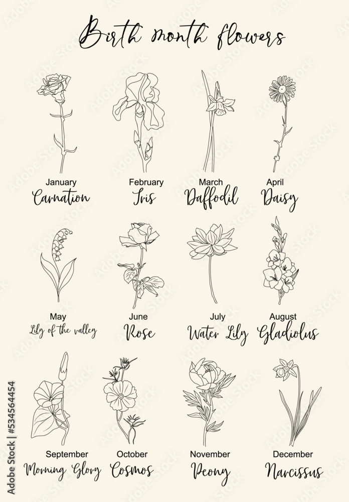 Set of birth month flowers line art vector illustrations. Daisy ...