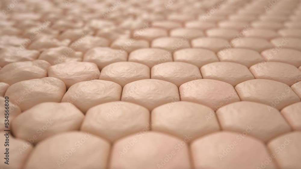 Aging and damaged skin cells, wave, 3D Hexagonal skin set. The concept ...