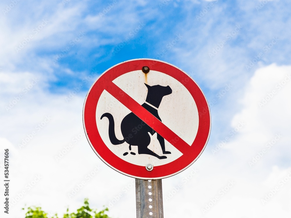 dog pooping outside on the grass funny dog pooping, funny dogs poop ...