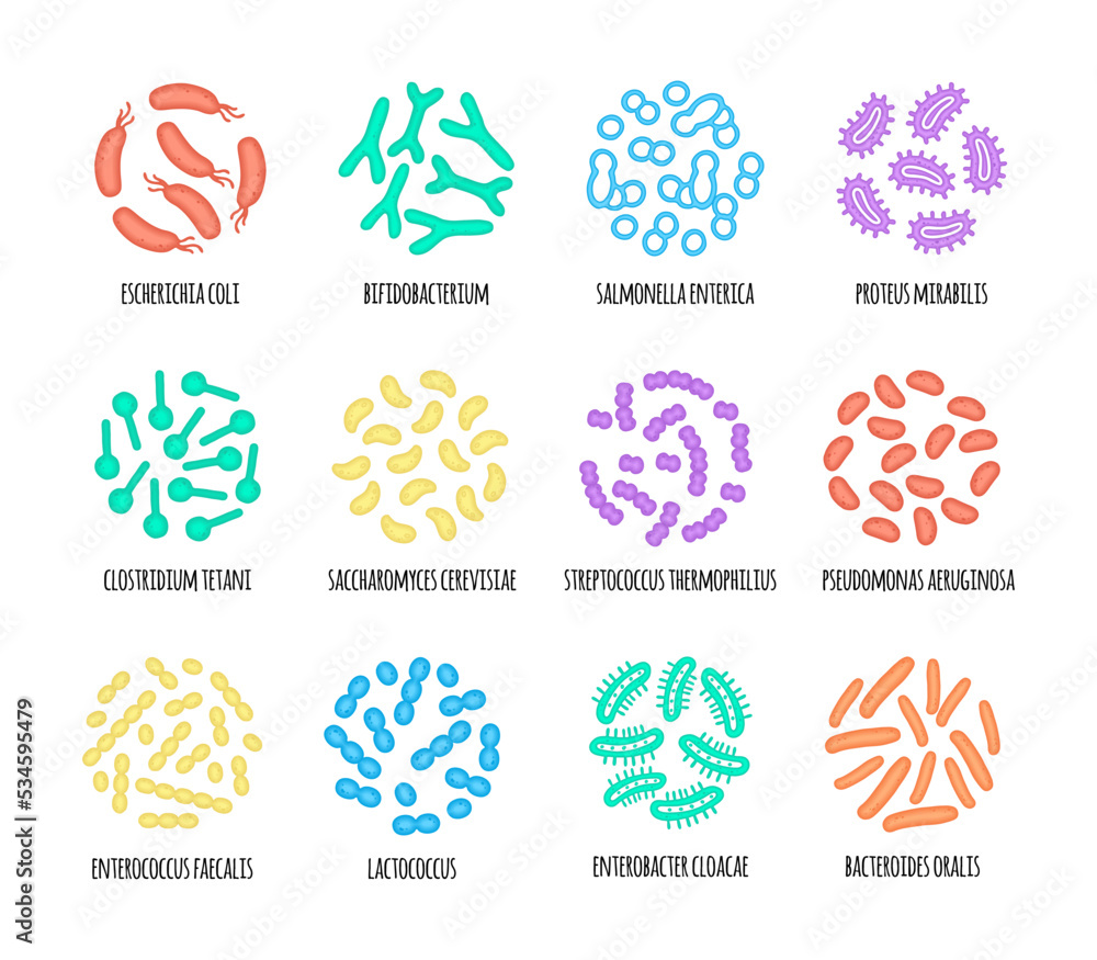 Human microbiome illustration of bacterial species. Vector image ...