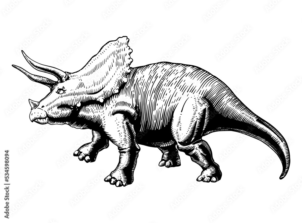 triceratops dinosaur sketch, vector drawing black on white background ...