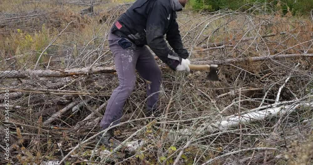 Stockvideo In a pile of fallen trees, a man cuts branches with an ax ...