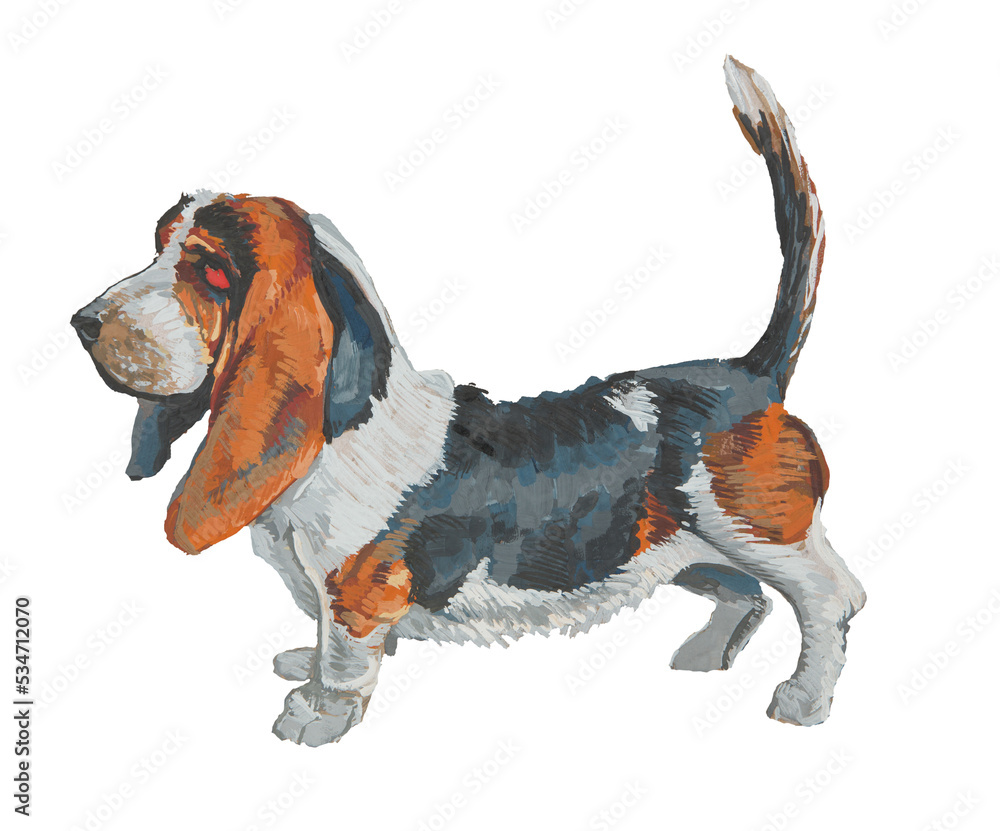 hand drawing of a basset hound dog for a print for fabric, printing on ...