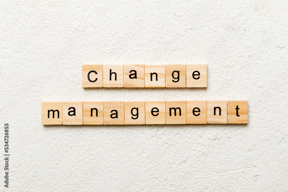change management word written on wood block. change management text on ...