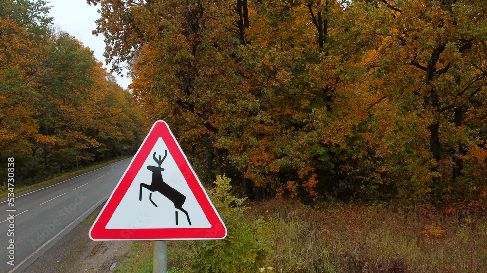road sign wild animals on the background of the road and autumn forest ...