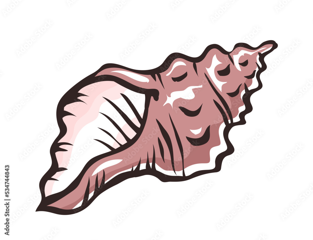 Snail sea shell. Marine underwater twisted seashell. Spiral shape ...