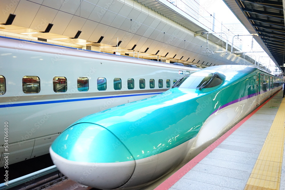 JR East, Tohoku Shinkansen, Bullet Train, Hayabusa in Japan - 日本 JR東日本 ...