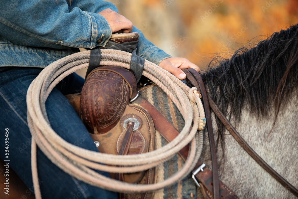 Lasso tied to a saddle with the hands of a resting cowgirl. Stock Photo ...