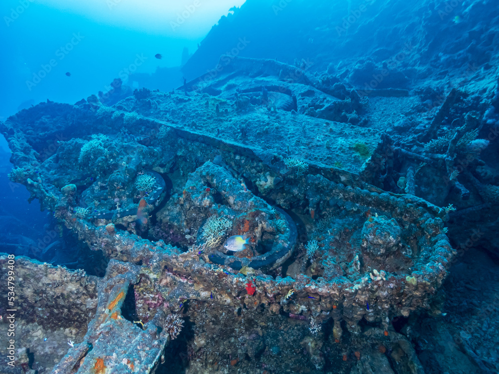 Submerged military tracked vehicles and support vehicles at Ras Peter ...
