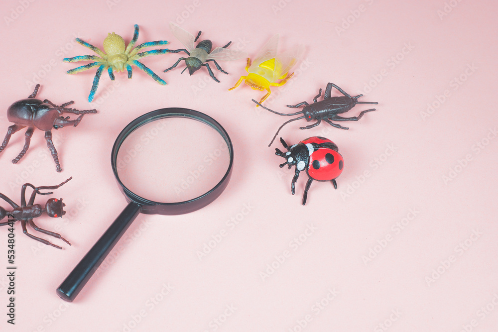 Magnifying glass surrounded by insect toys. Ladybug, grasshopper, fly ...