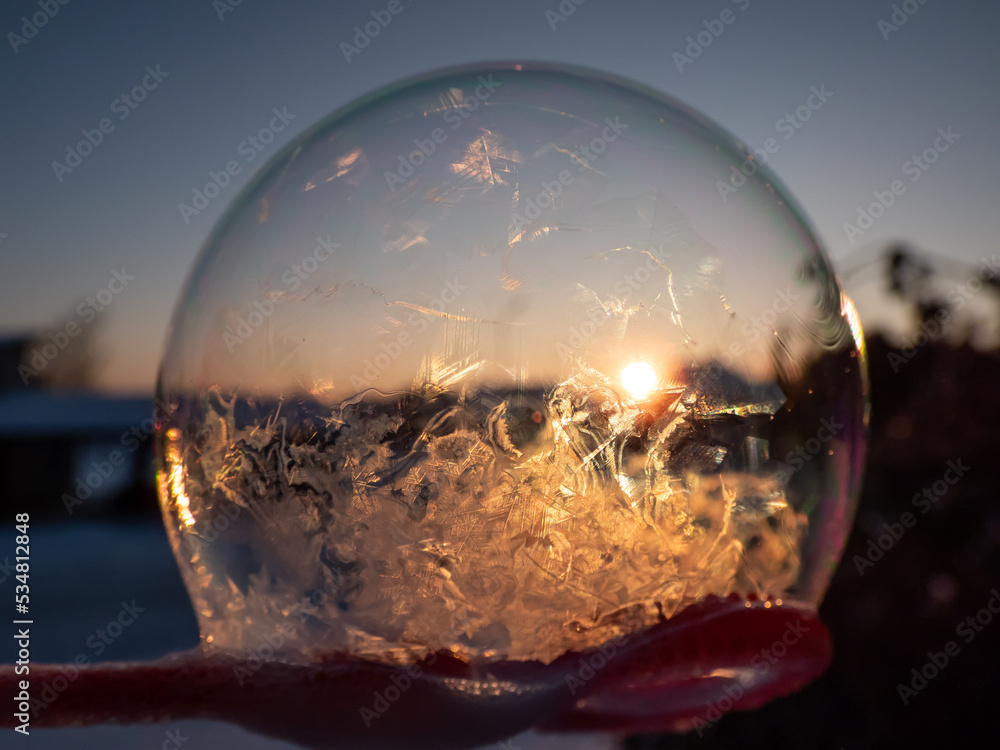 Macro of round, frozen soap bubble forming beautiful leaf and tree like ...