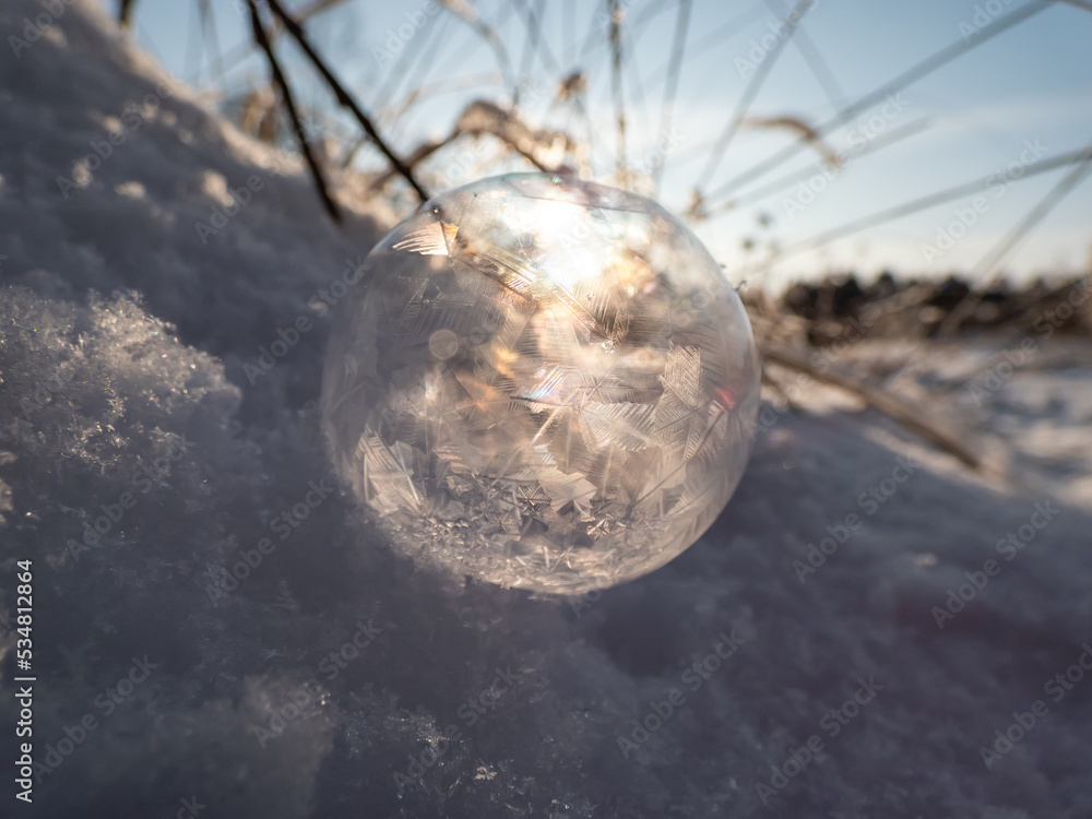 Macro of round, frozen soap bubble forming beautiful leaf and tree like ...