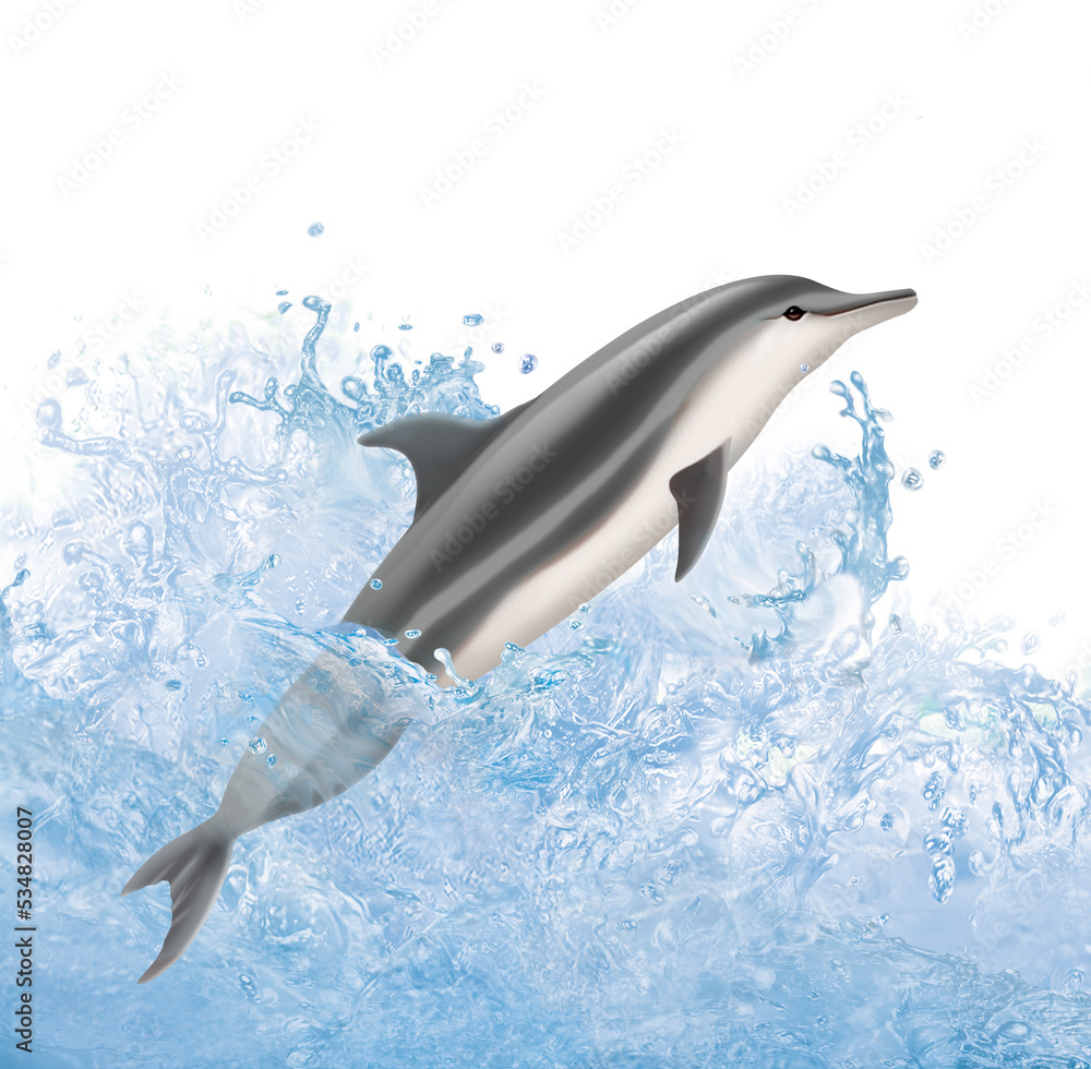 short-snouted spinner dolphin, saut, vague, mammifère, marin, poisson ...