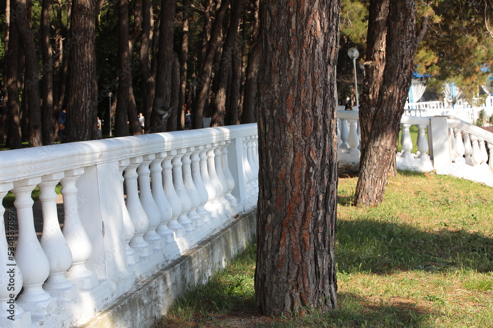 Fence with white balusters in Baroque style in a public park with large ...